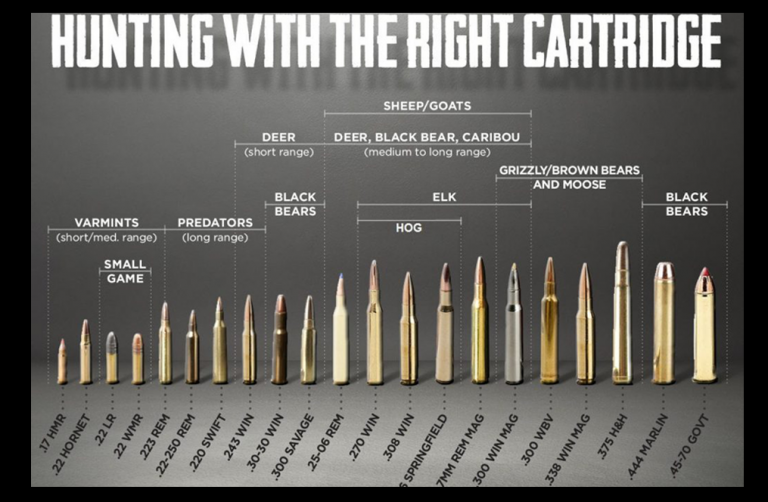 Selecting the Right Caliber – HUNT•IN