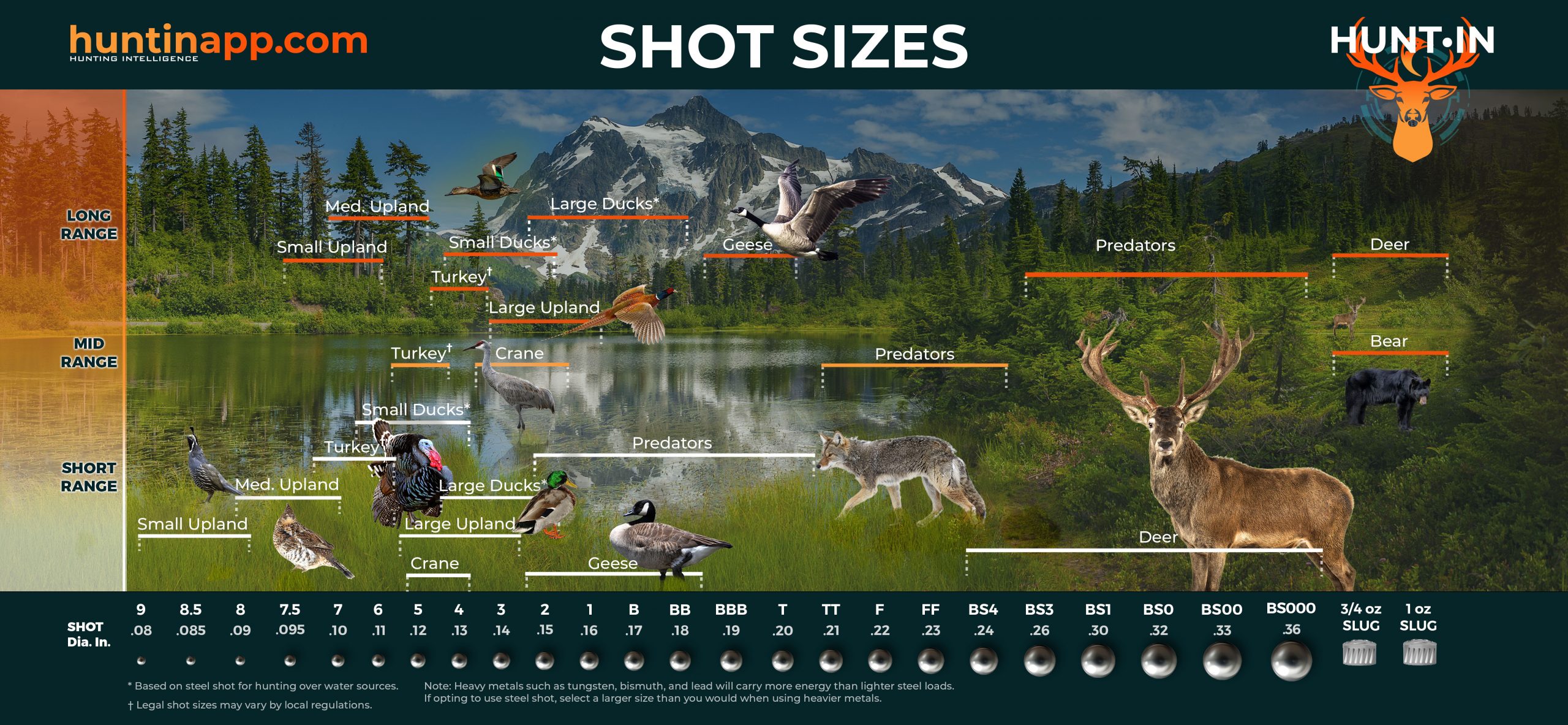 SELECTING THE RIGHT SHOT SIZE FOR YOUR HUNT HUNT IN