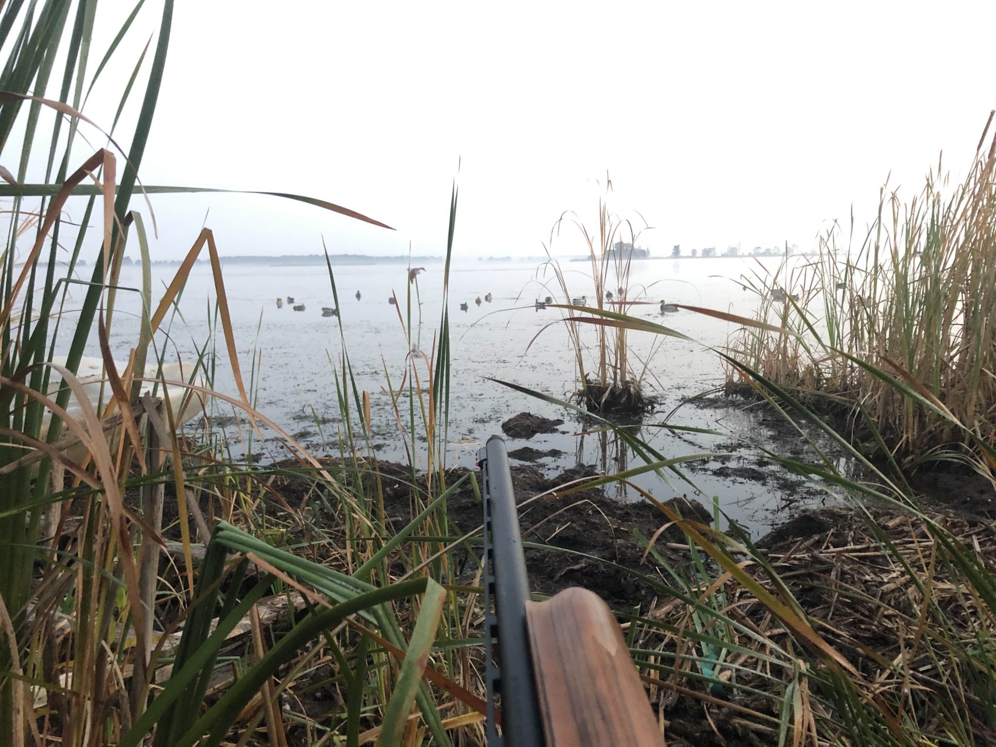 SELECTING THE RIGHT SHOT SIZE FOR YOUR HUNT – HUNT•IN